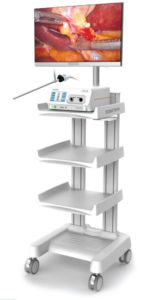 Video Endoscopy System - Avs